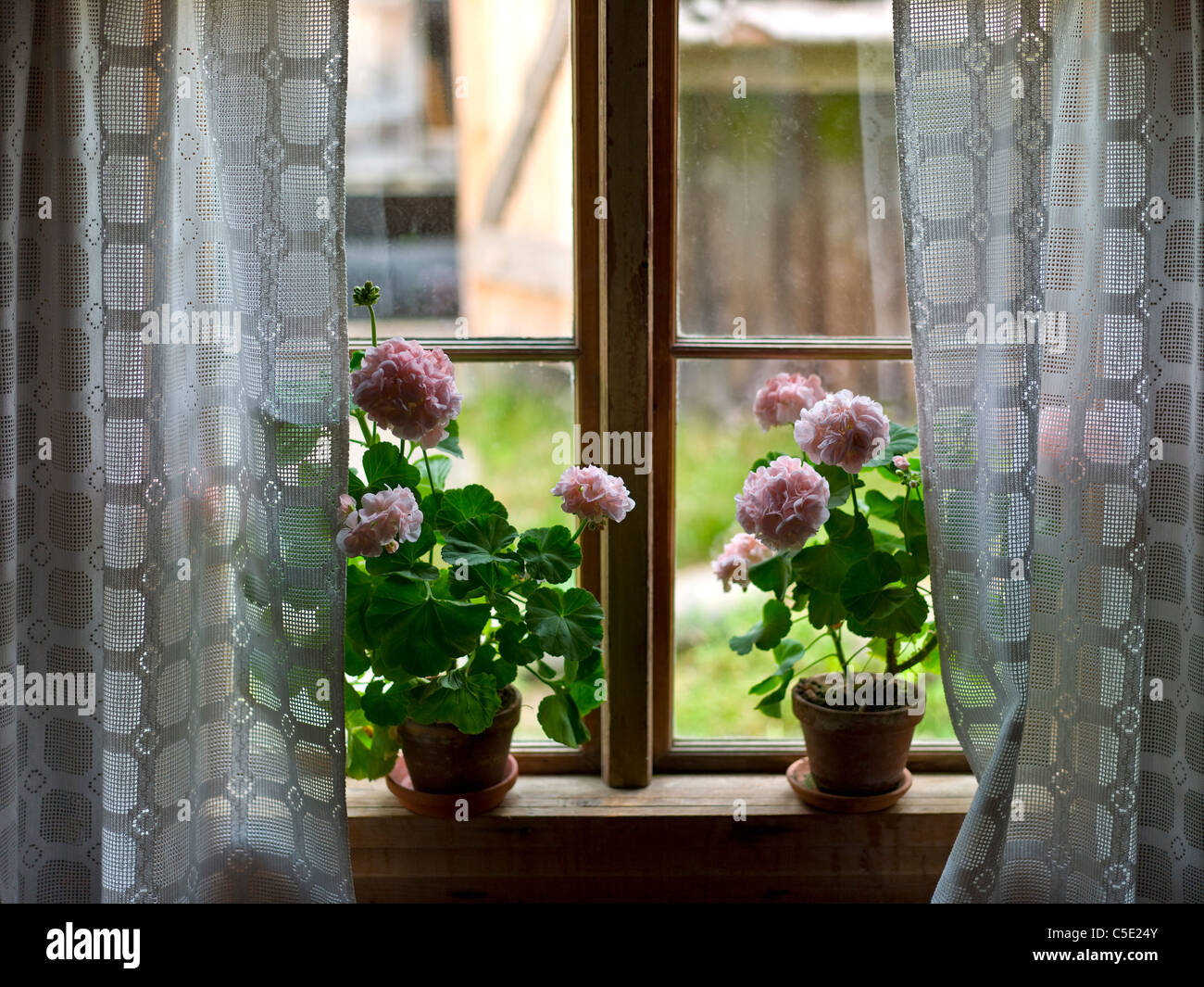 Window Sill Flower Pots High Resolution Stock Photography and Images ...