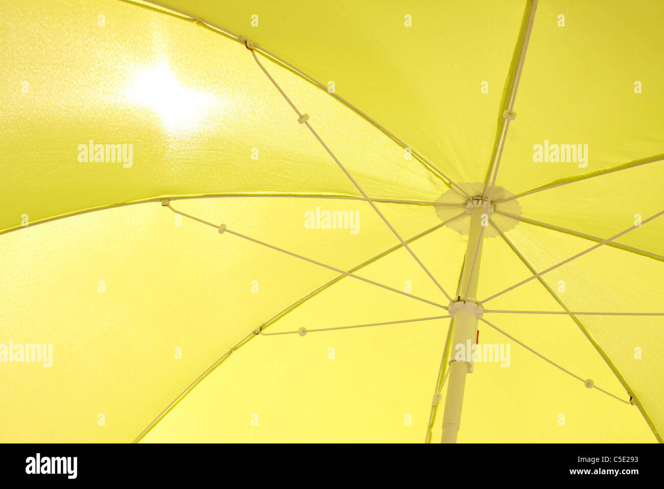 Canopy of yellow hi-res stock photography and images - Alamy