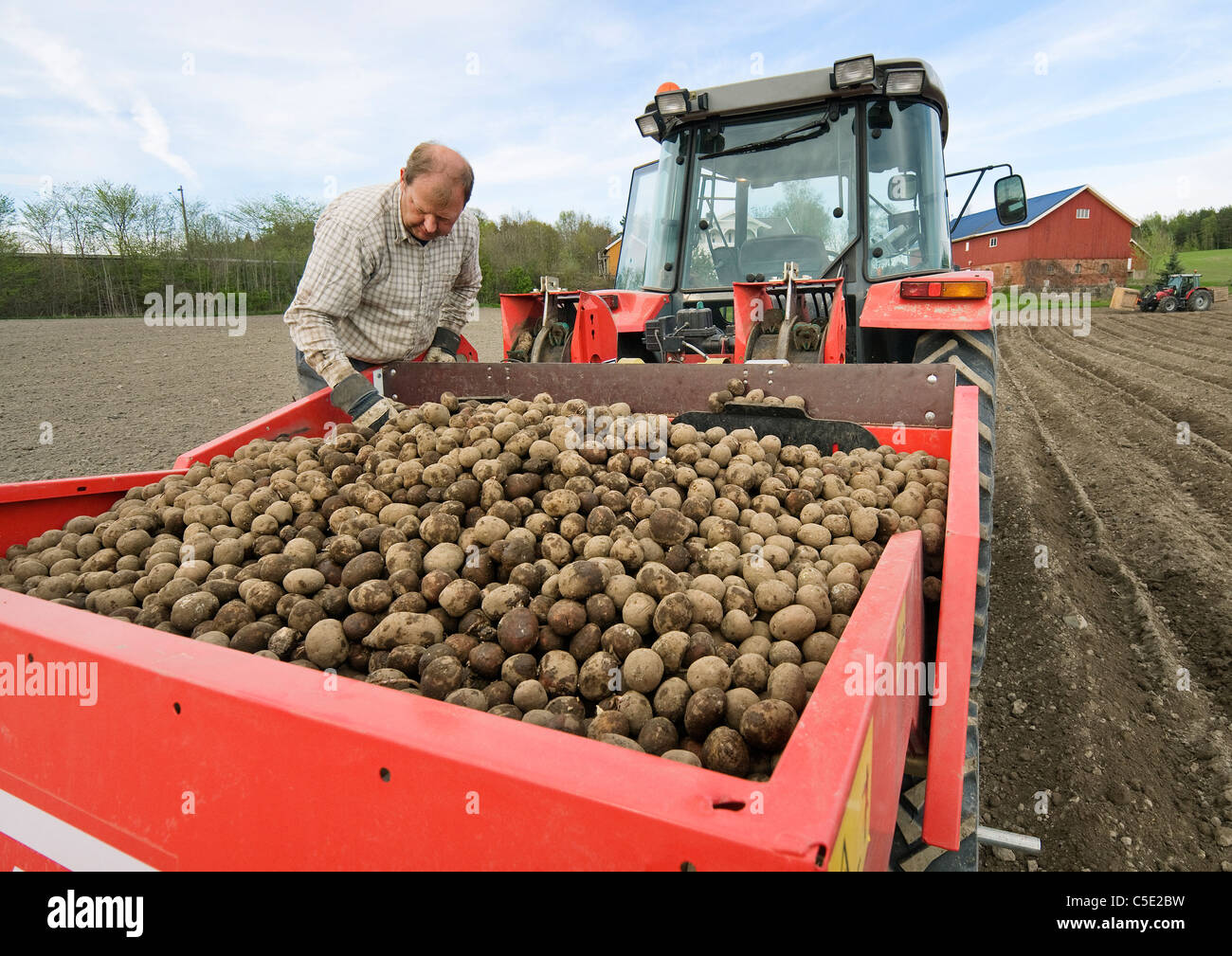 Loading potatoes hi-res stock photography and images - Alamy