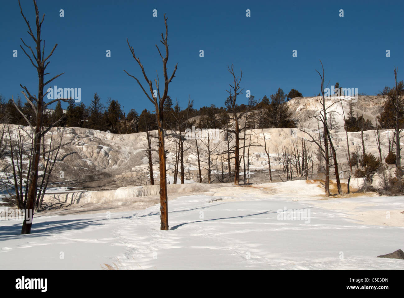 The mammoth hot spring terrace hi-res stock photography and images - Alamy
