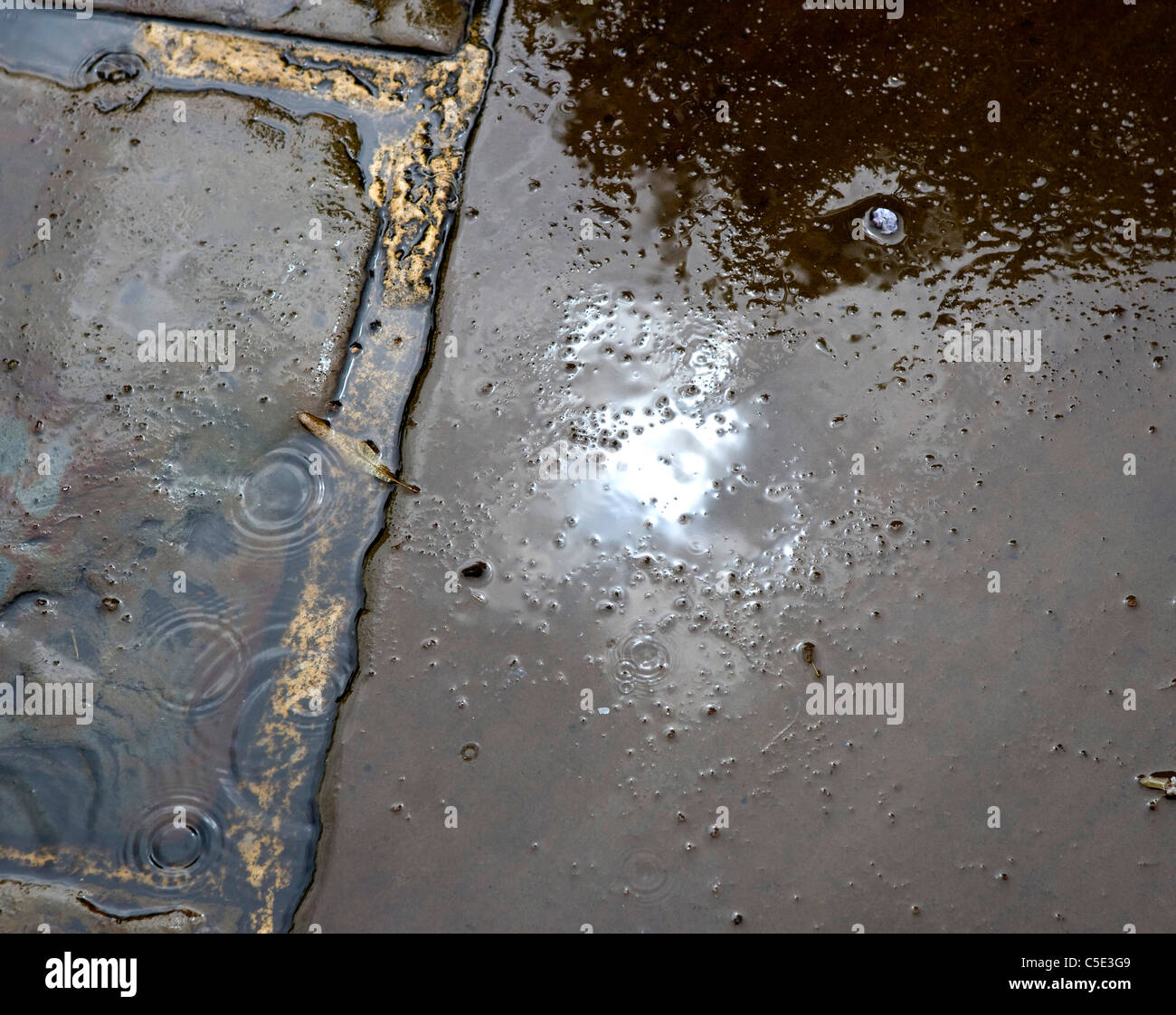 Sun reflected in a rain puddle Stock Photo - Alamy