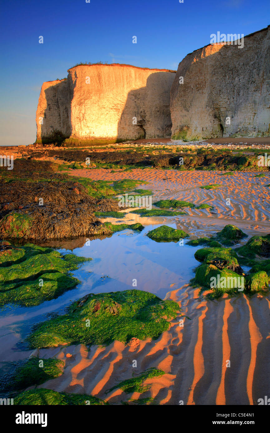 Botany bay kent hi-res stock photography and images - Alamy