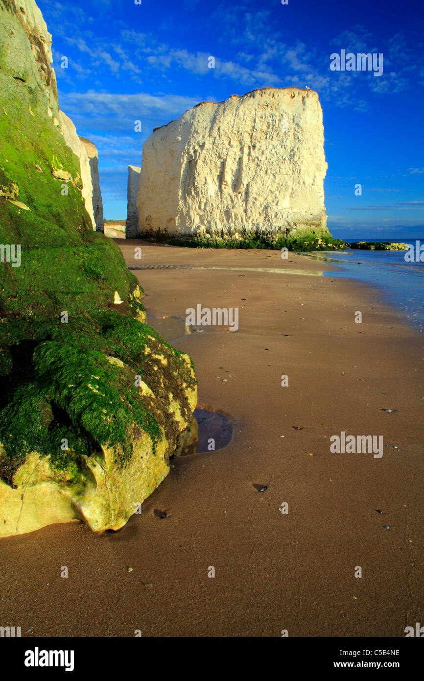 Botany Bay Sea Stack Stock Photo - Alamy