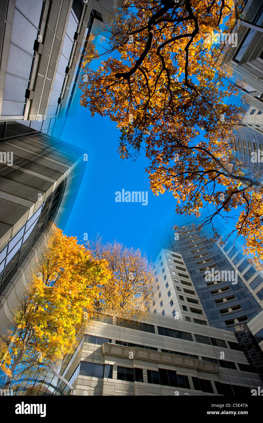 Courtyard perspective skyscraper hi-res stock photography and images ...