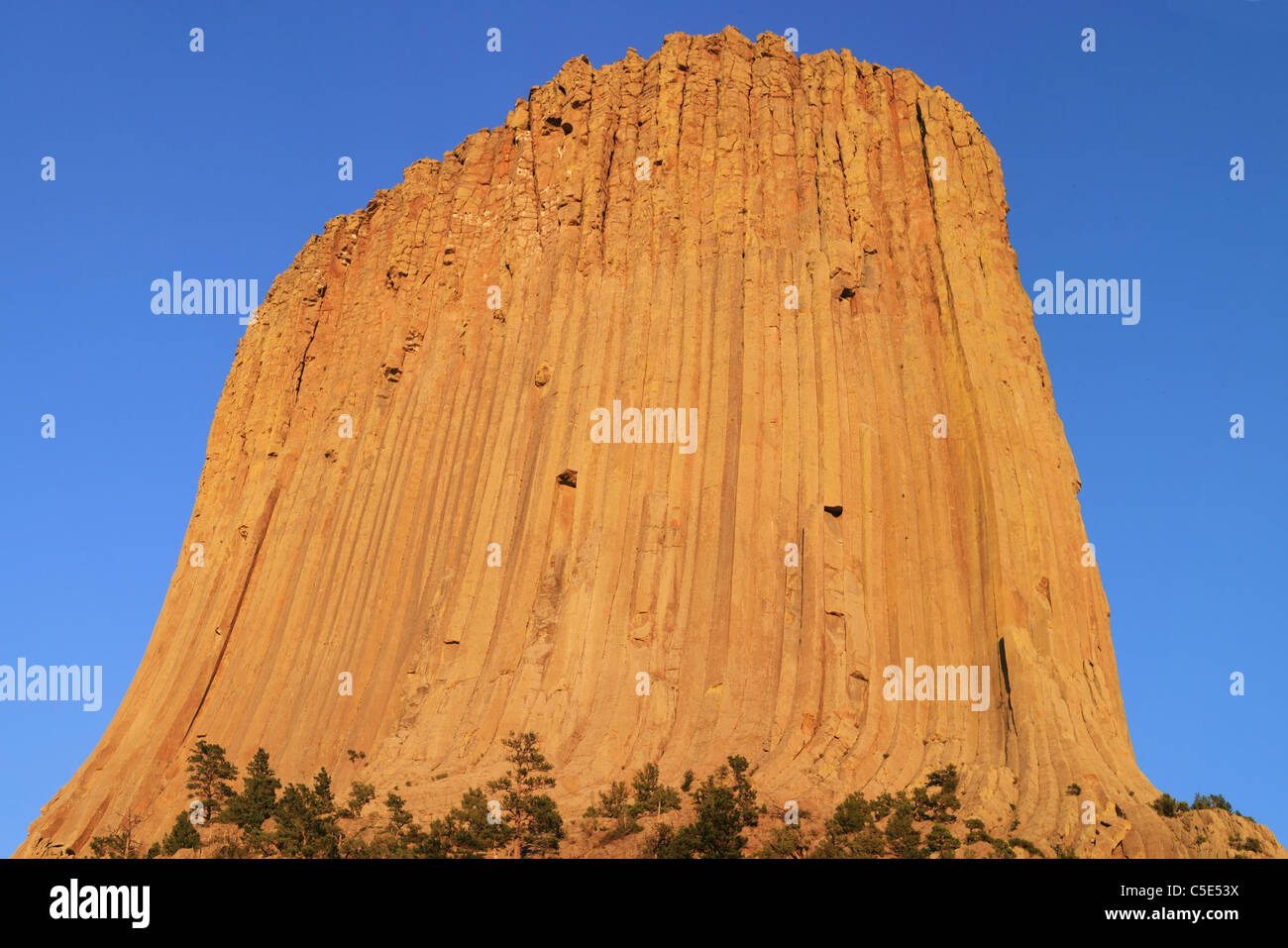 Devil's Tower west side near sunset showing the columns Stock Photo - Alamy