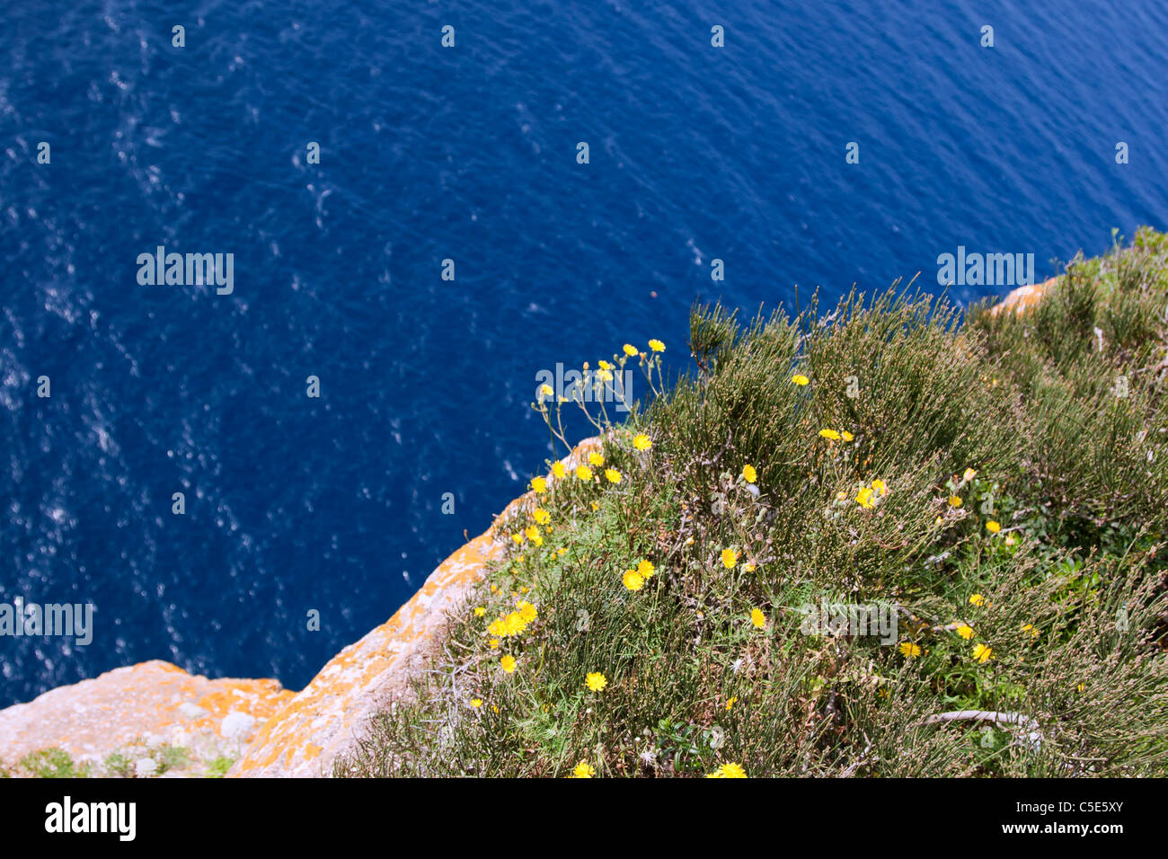 Cliff from above hi-res stock photography and images - Alamy
