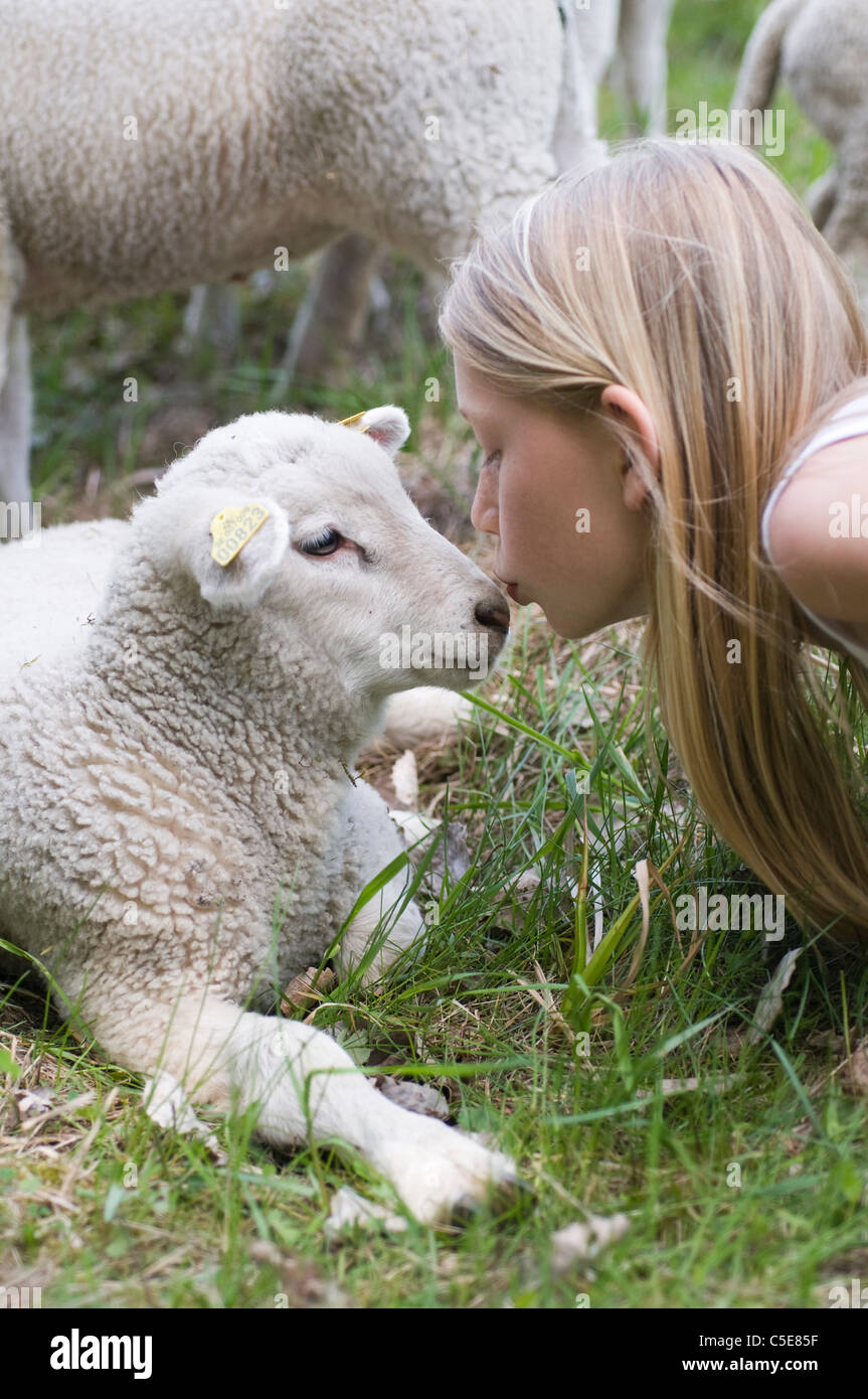 Side view of a lamb hi-res stock photography and images - Alamy
