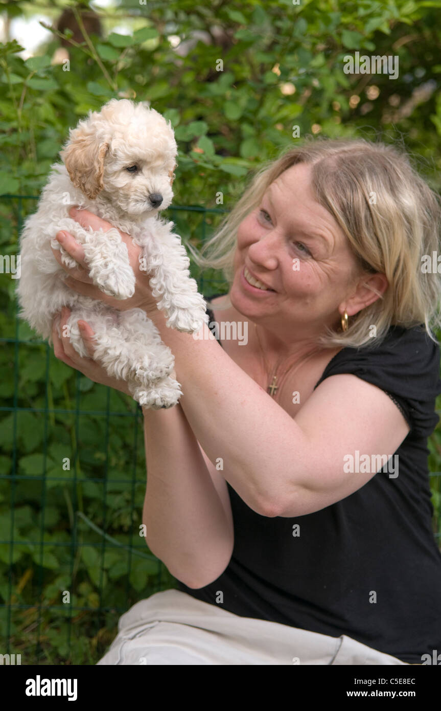 Woman and poodle hi-res stock photography and images - Alamy