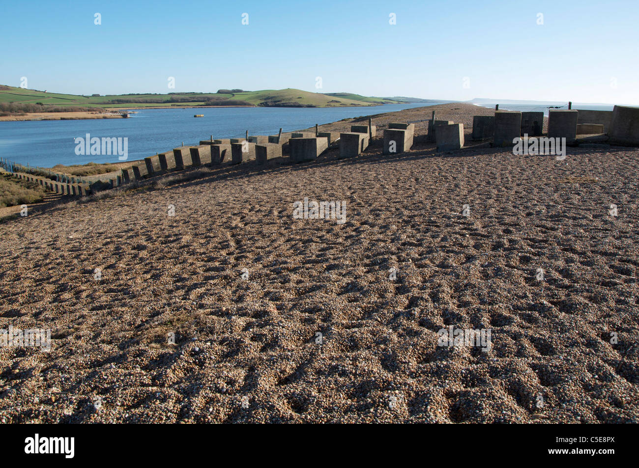 Dragons teeth, concrete anti-tank obstacles, still remaining on Chesil ...
