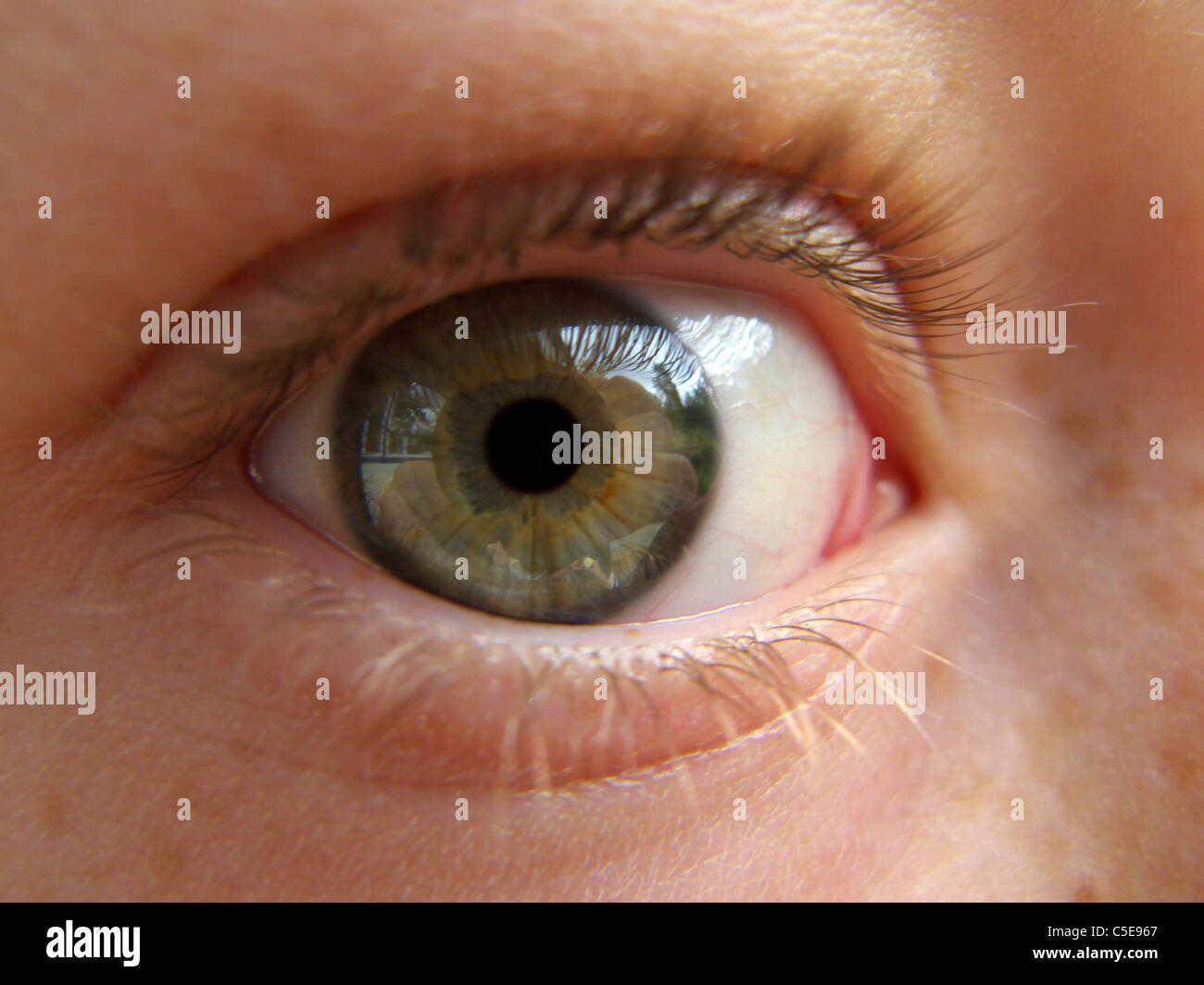 Scared child corner hi-res stock photography and images - Alamy