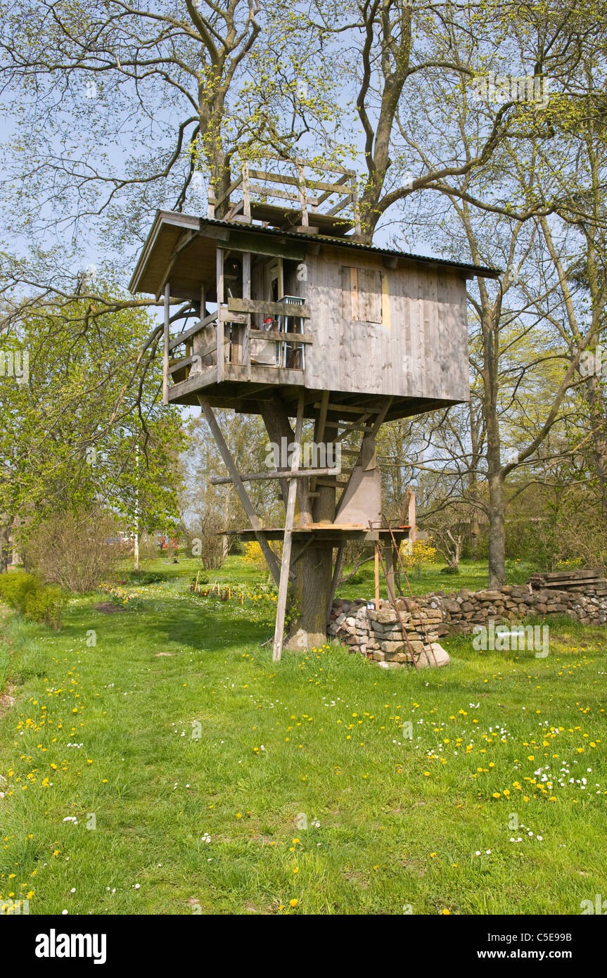 Tree on a balcony hi-res stock photography and images - Alamy