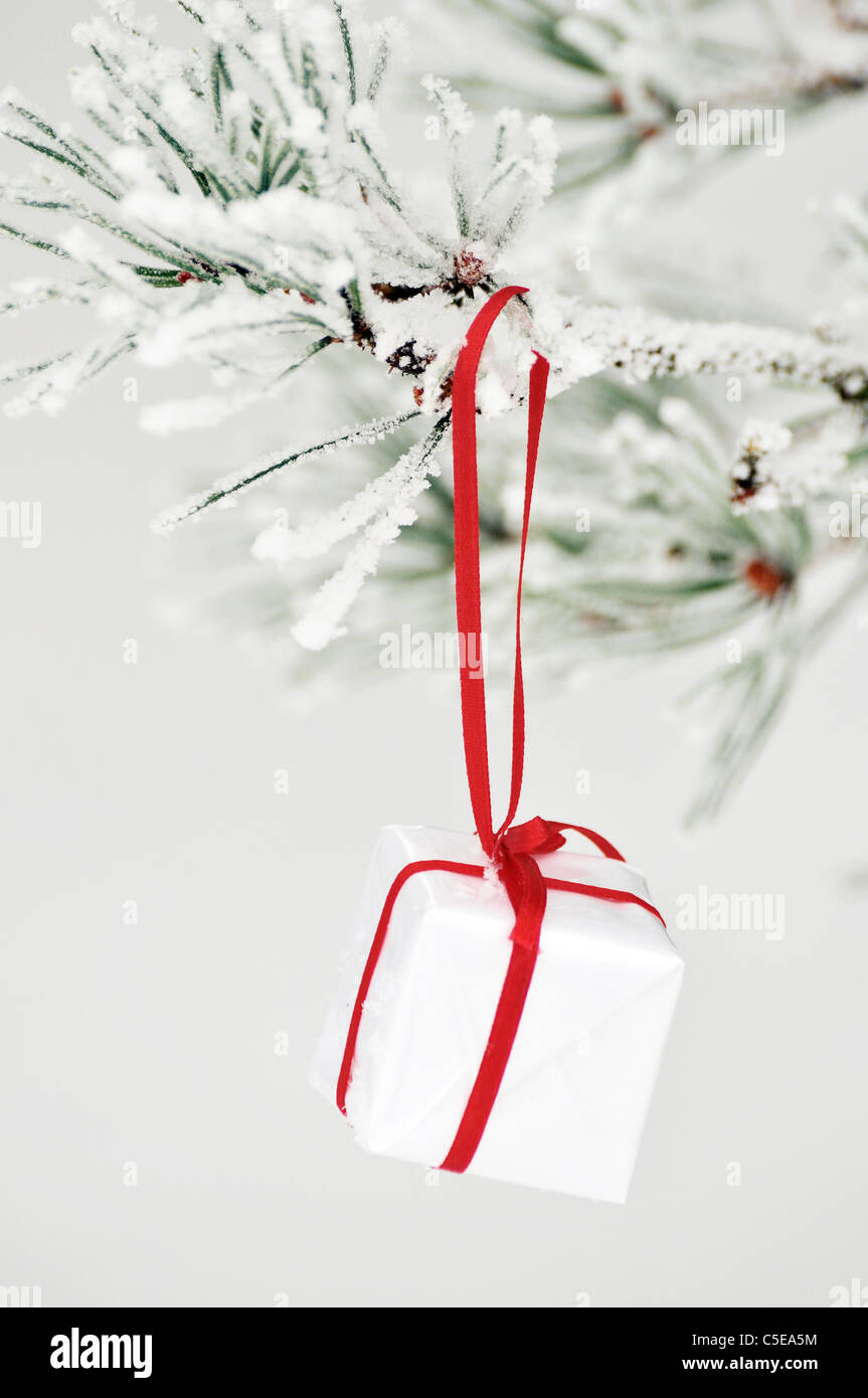 Packet Tree High Resolution Stock Photography and Images - Alamy