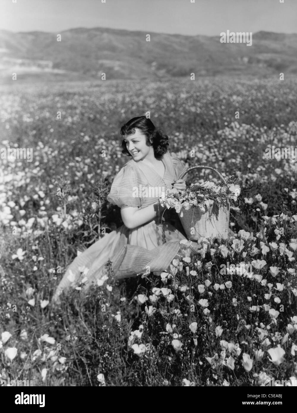 Woman collecting flowers in field Stock Photo - Alamy