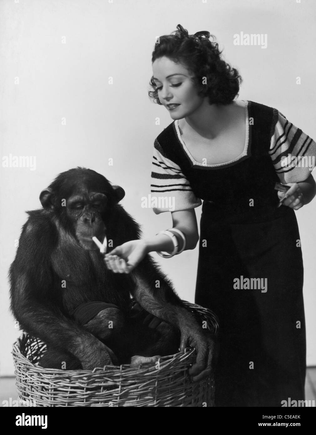 Helper Monkey High Resolution Stock Photography and Images - Alamy