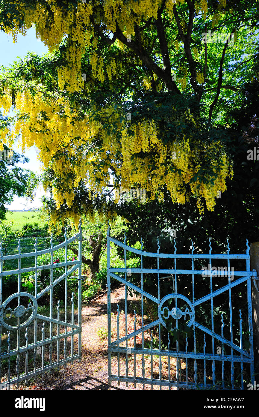 Open the gate hi-res stock photography and images - Alamy