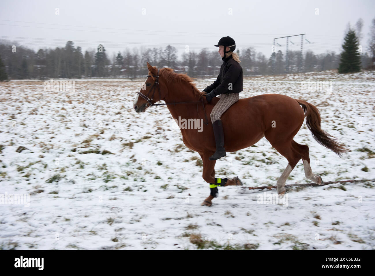 Galloping Horse Rider View High Resolution Stock Photography and Images ...