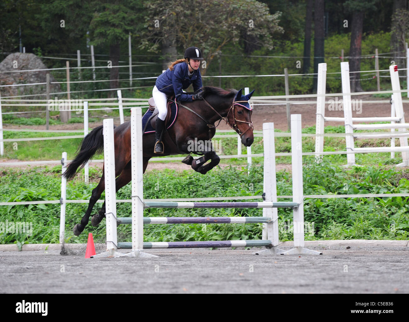 Obstacle horse racing hi-res stock photography and images - Alamy