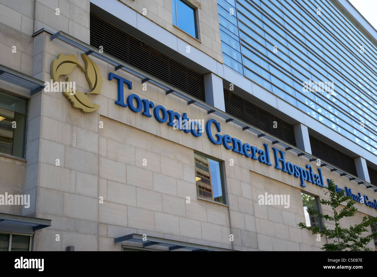 toronto general hospital peter munk cardiac centre toronto ontario ...