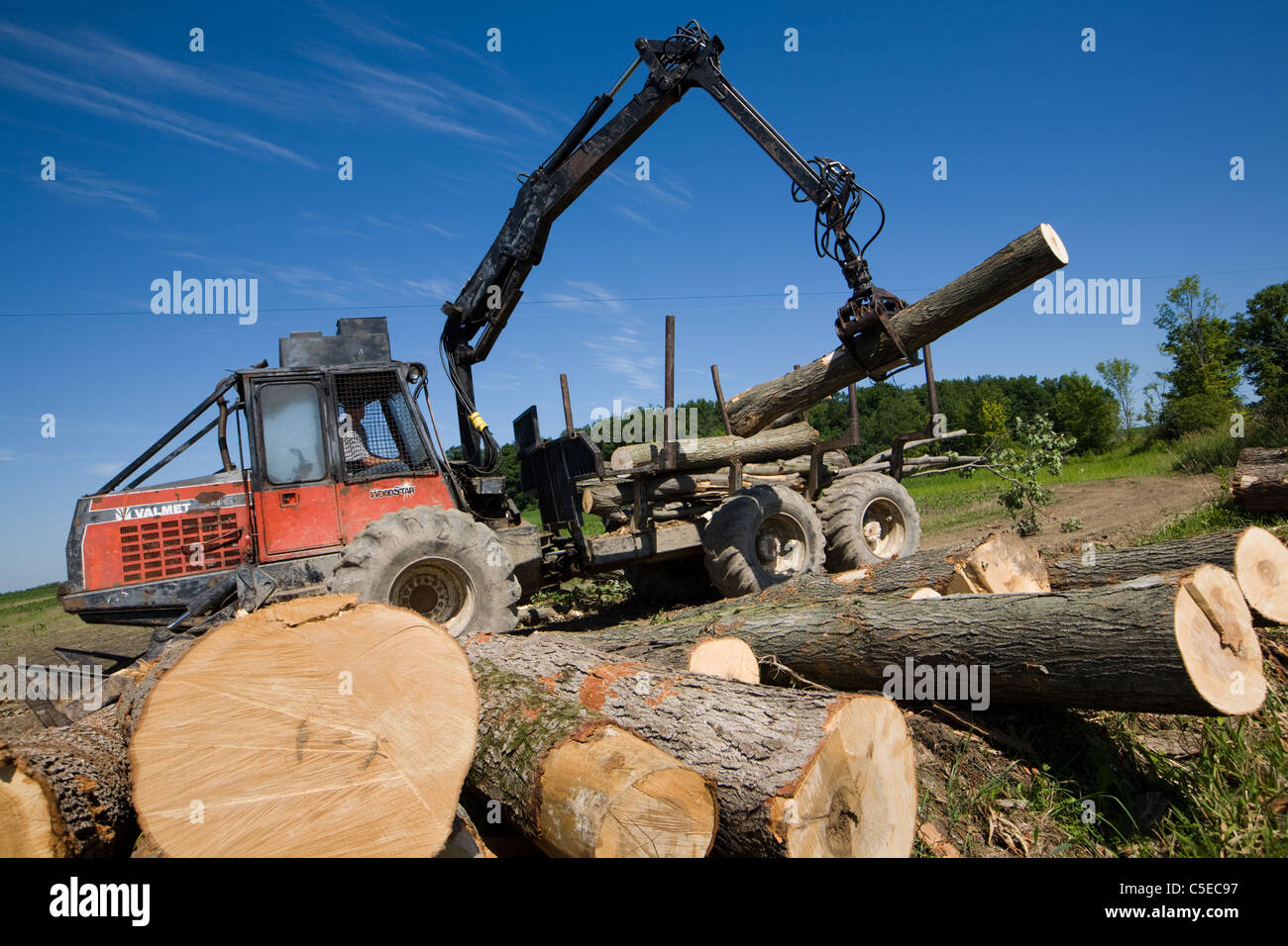 Logger lumberjack logging forestry hi-res stock photography and images ...
