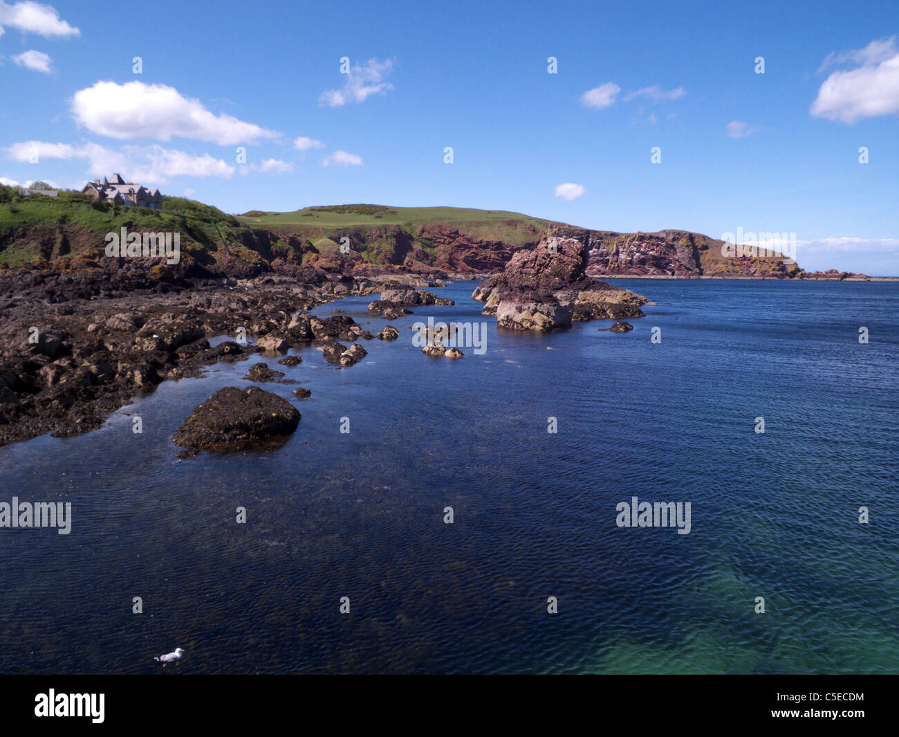St abbs harbour and cliffs hi-res stock photography and images - Alamy