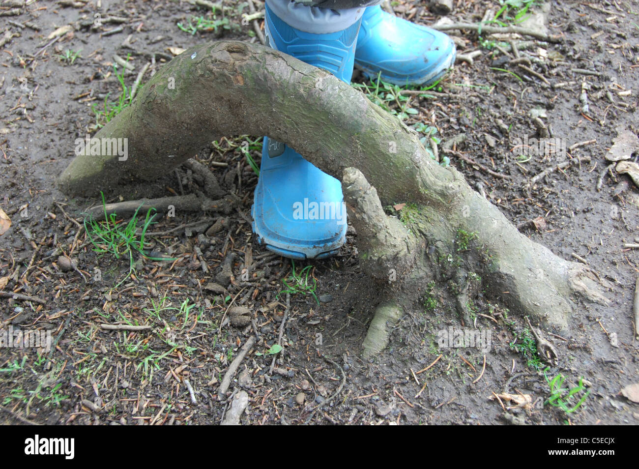 Boots and Tree Root Stock Photo - Alamy