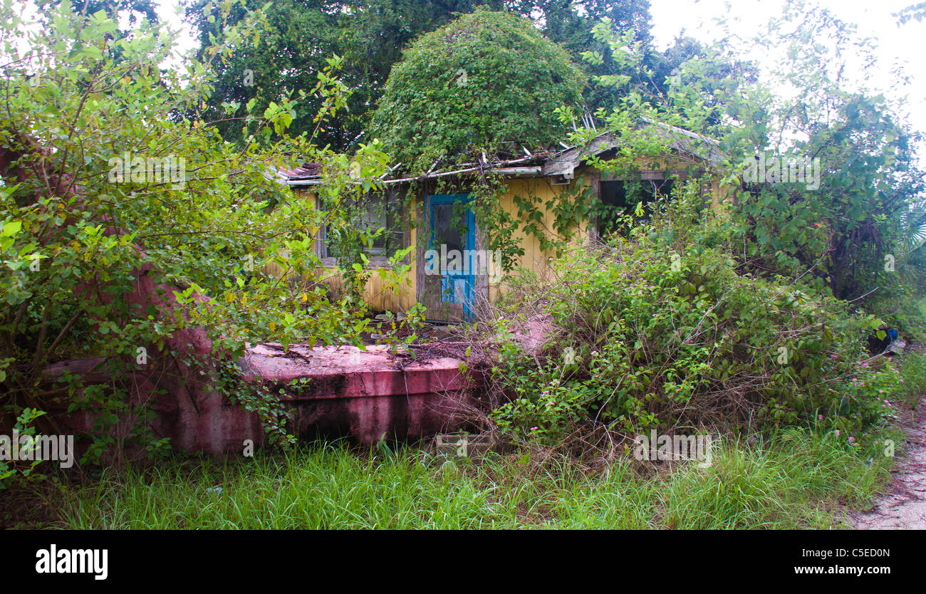 Abandoned run down house florida hi-res stock photography and images ...