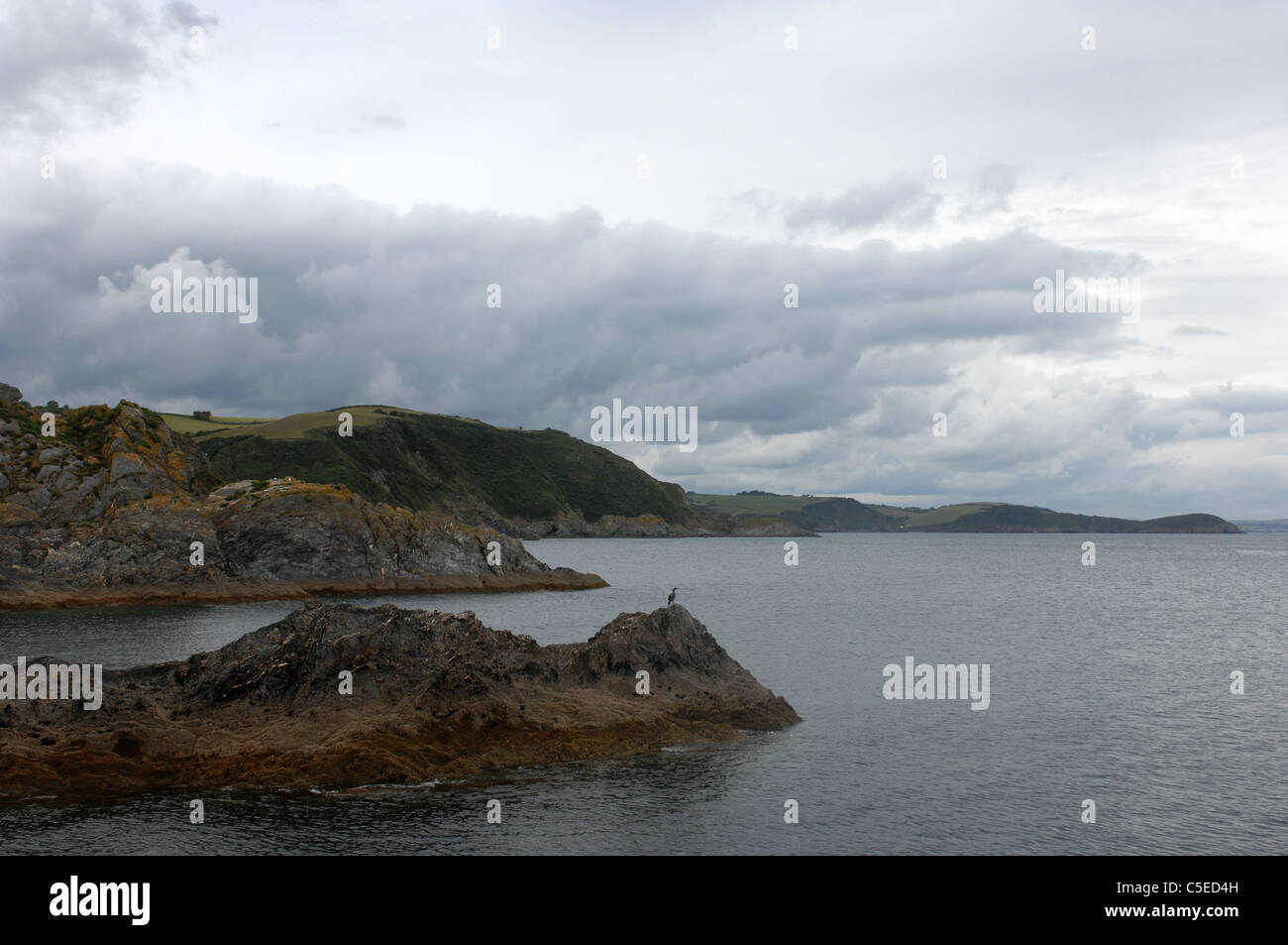Cornish coastal scenery, Cornwall, UK Stock Photo - Alamy