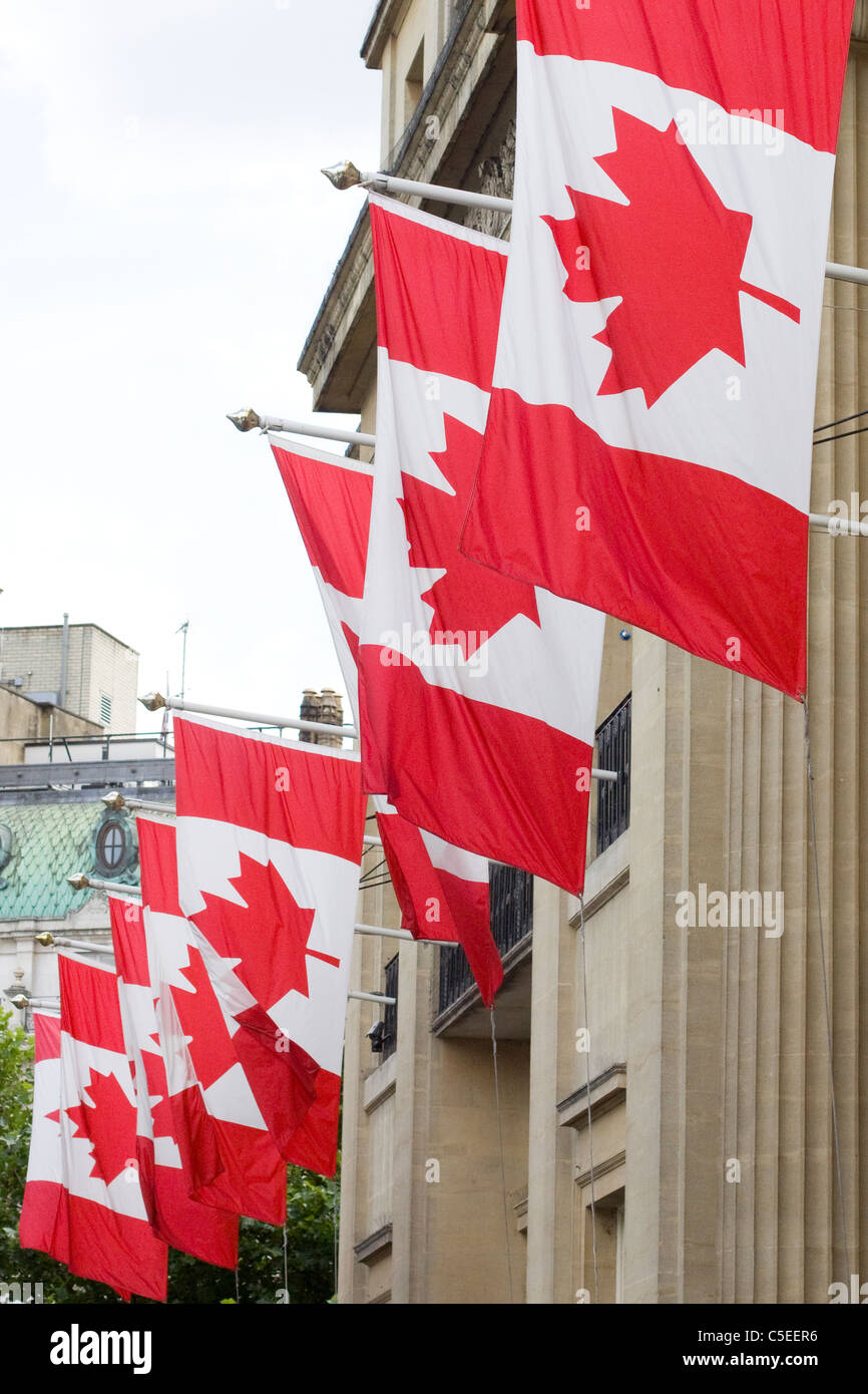 Maple tree canada flag hi-res stock photography and images - Alamy