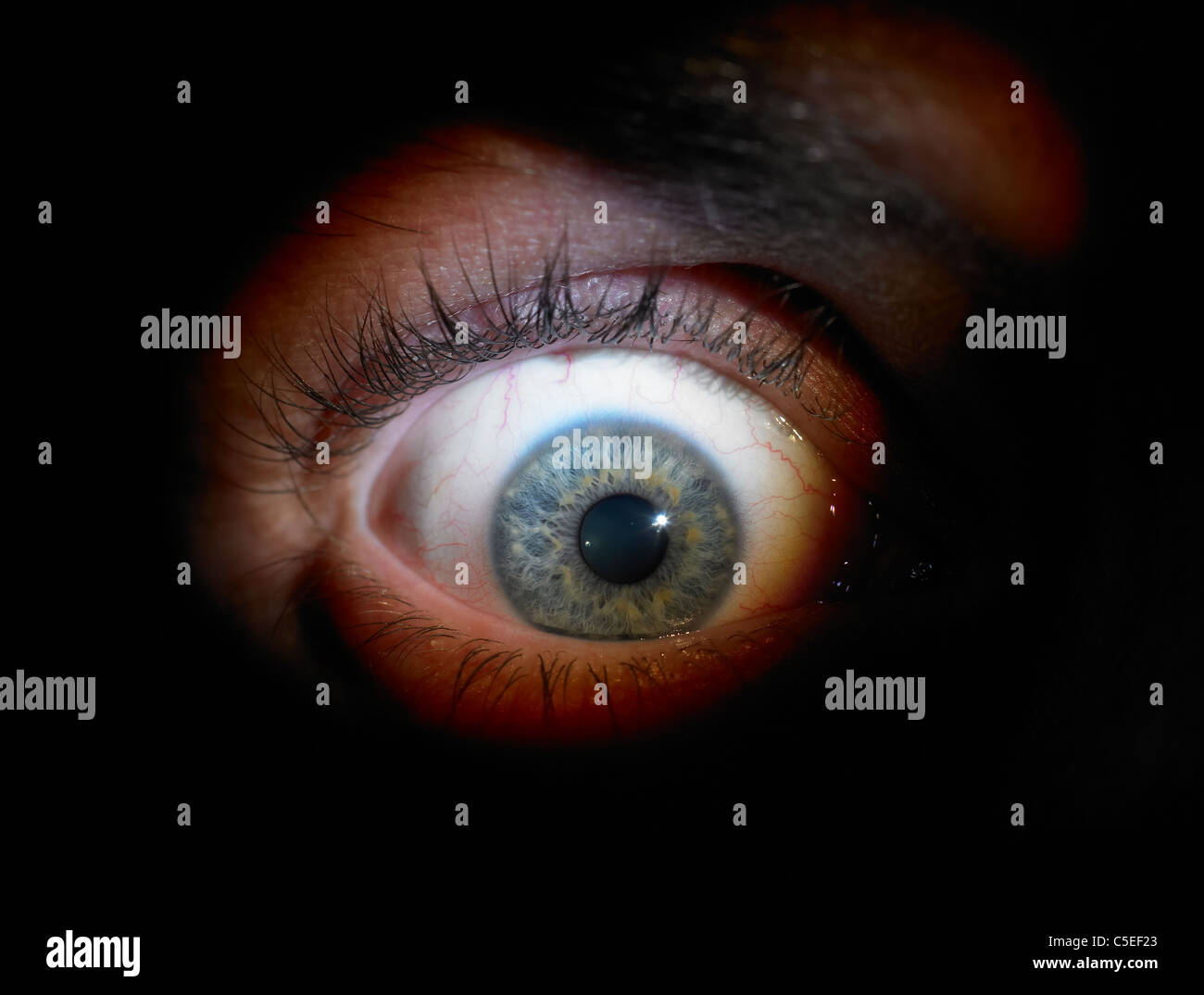close up of a surprised eye Stock Photo - Alamy