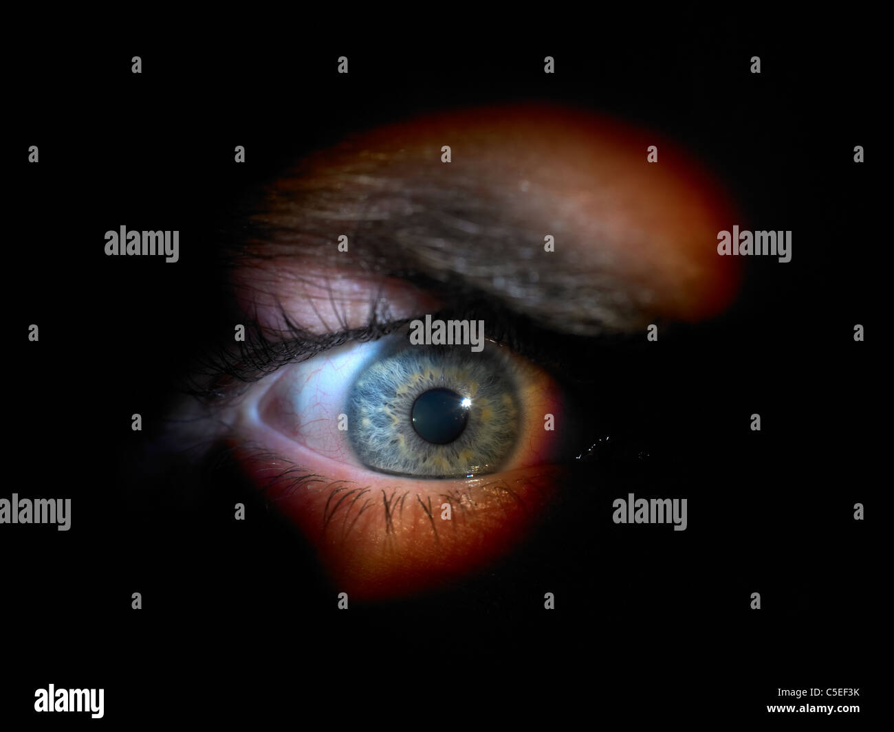 close up of angry eye Stock Photo - Alamy
