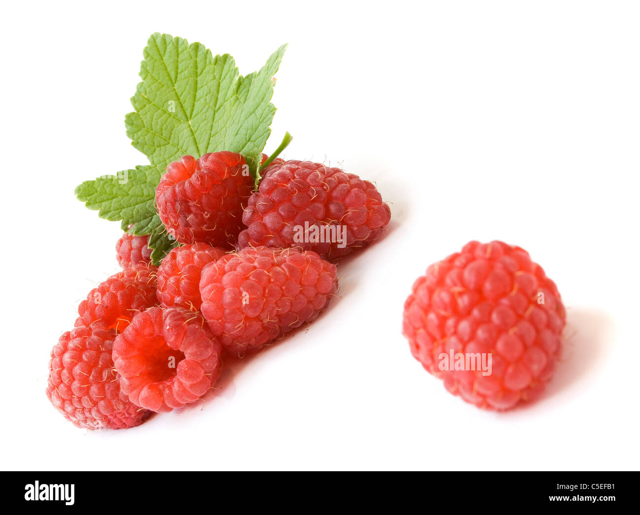 ripe red raspberries isolated on white background Stock Photo - Alamy