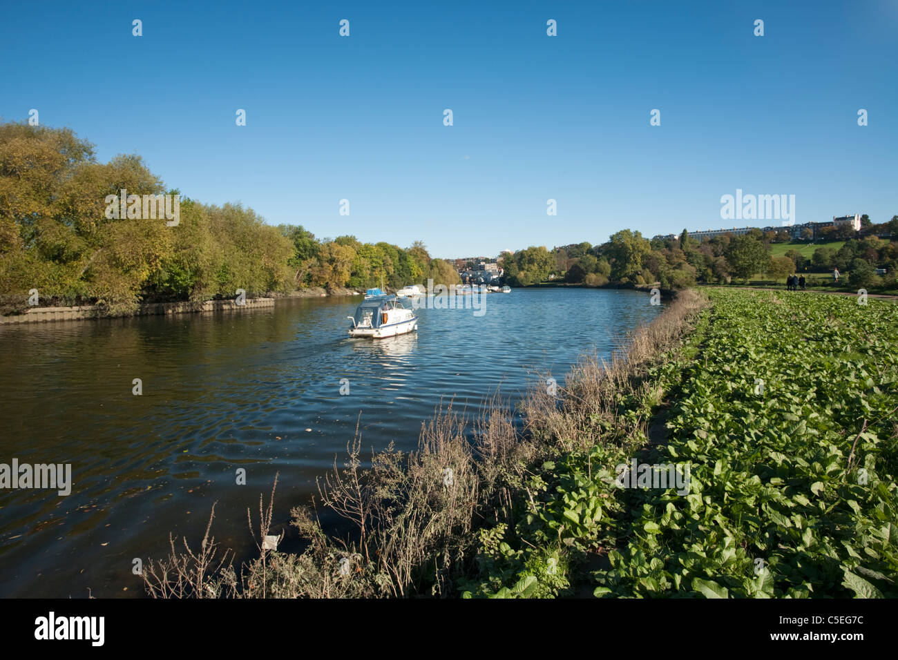 Thames valley landscape surrey hi-res stock photography and images - Alamy