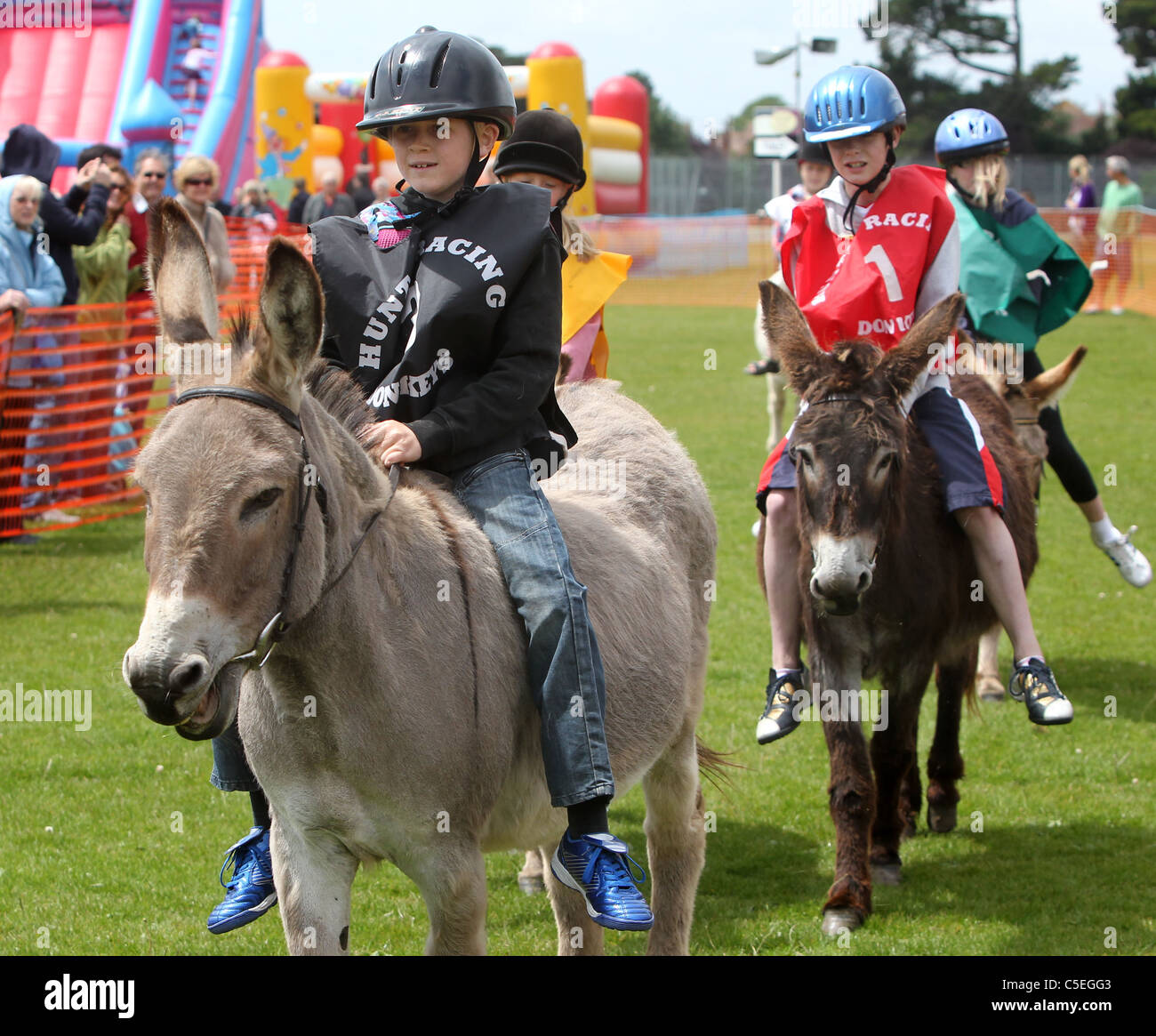 Donkey racing hi-res stock photography and images - Alamy