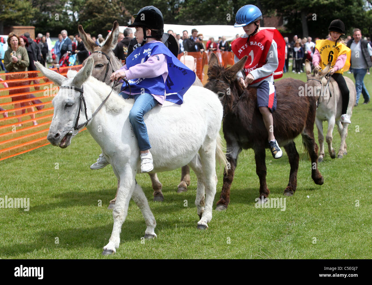 Donkey racing hi-res stock photography and images - Alamy