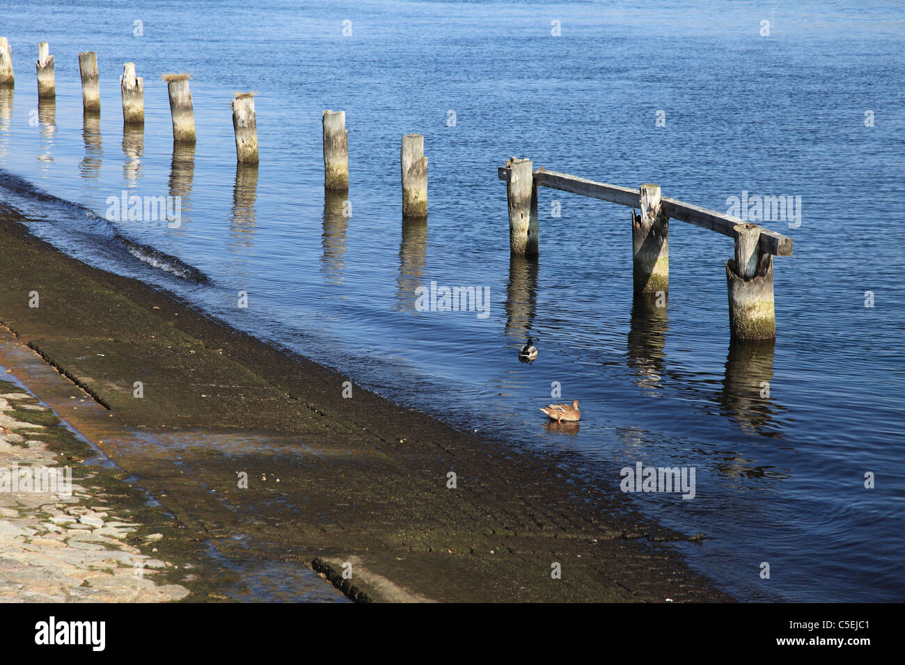 rows of piles on the sea beach - outdoor Stock Photo - Alamy