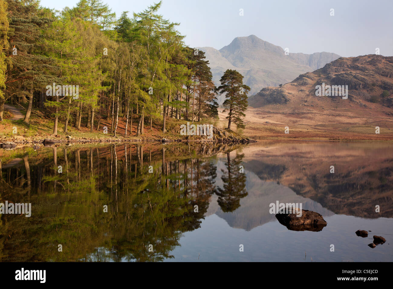Blea Tarn, Lake District taken at dawn Stock Photo - Alamy