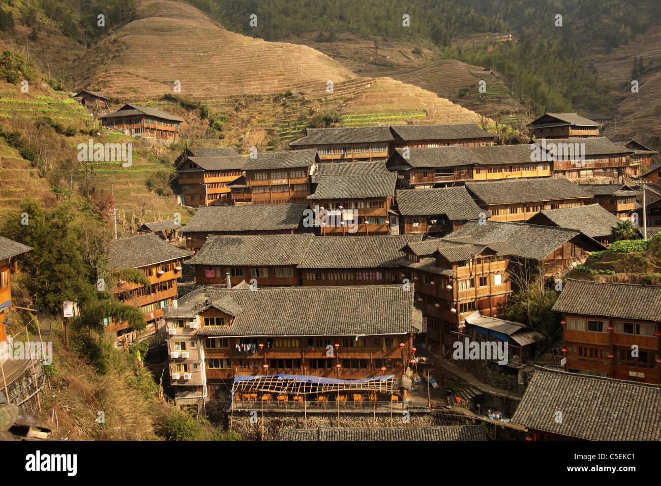 The world-famous rice terraces of Longji "backbone of the dragon" and ...