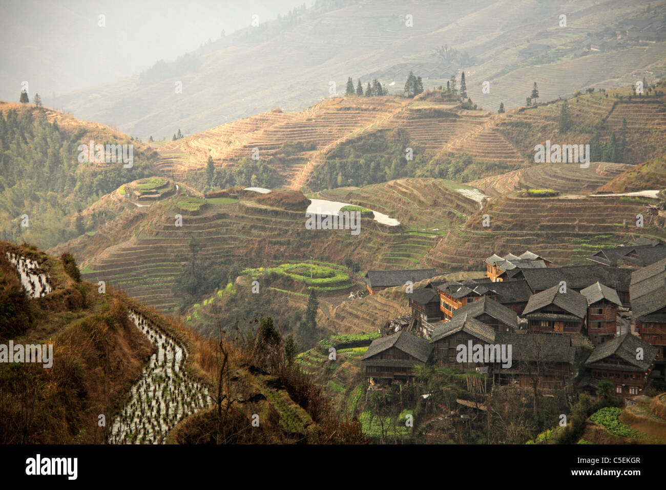 Dragon's backbone hi-res stock photography and images - Alamy
