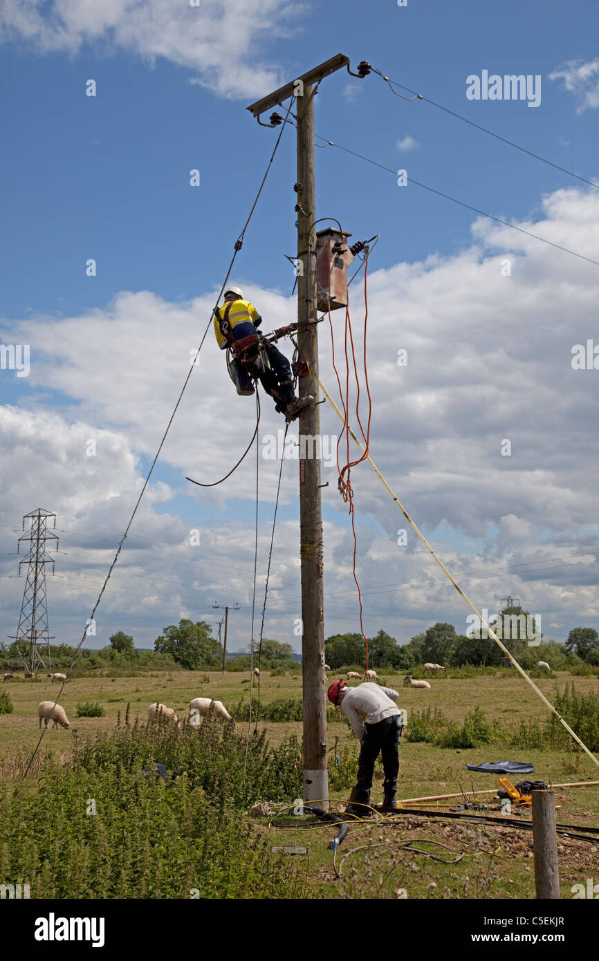 Western Power engineer reconnecting transformer on elecricity pole from ...