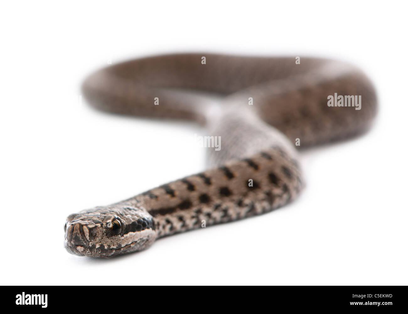 Full adder background hi-res stock photography and images - Alamy