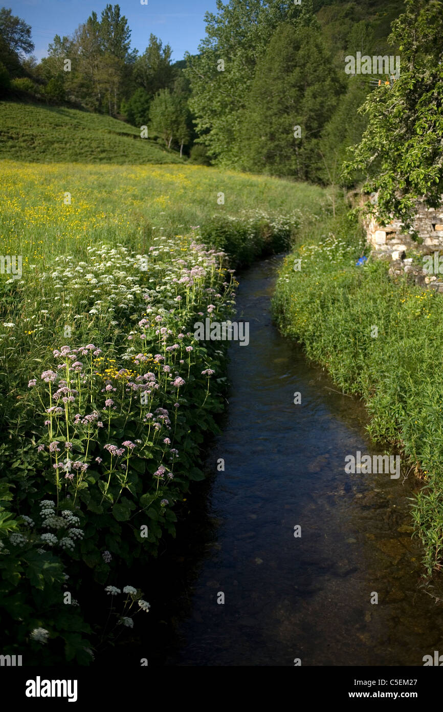 A stream in the French Way of St. James Way, Galicia province, Spain ...