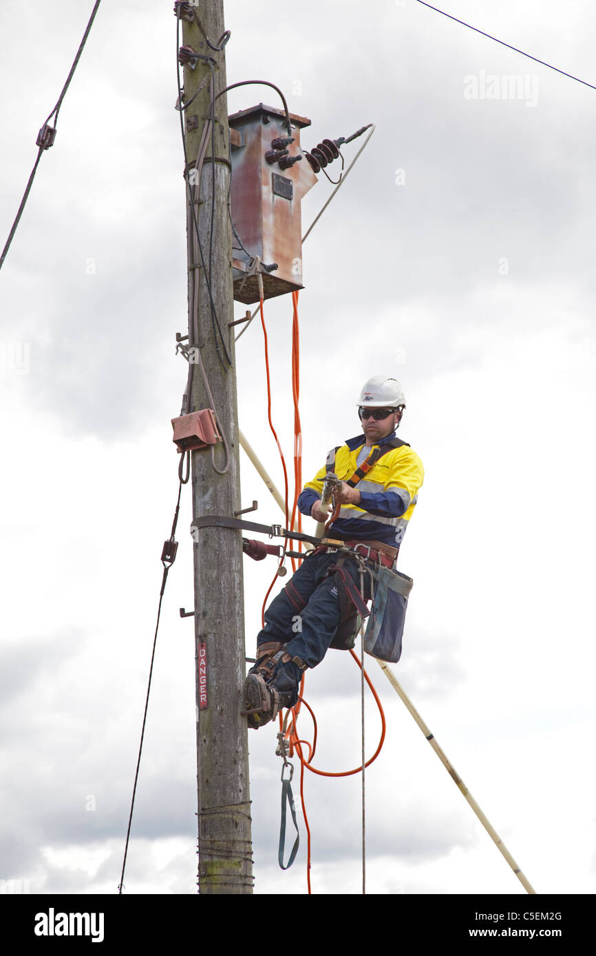 Western Power engineer reconnecting transformer on elecricity pole from ...