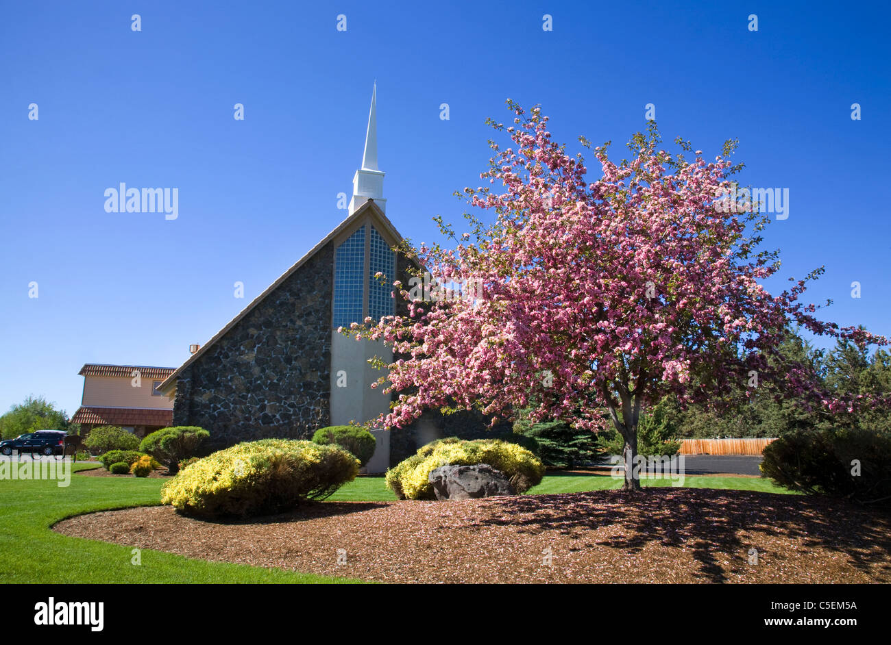 Apple tree hi-res stock photography and images - Alamy