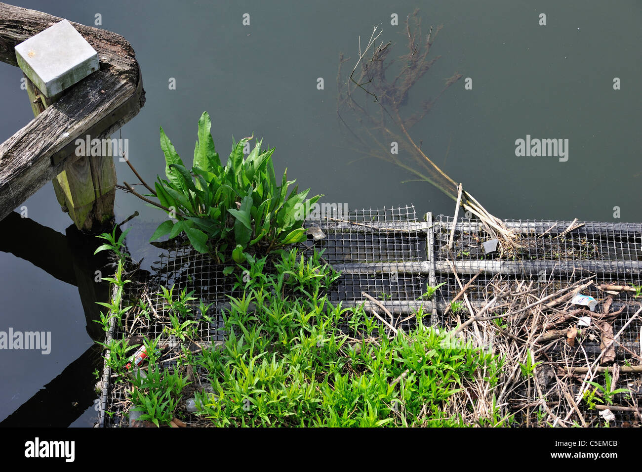 Nesting platform hi-res stock photography and images - Alamy