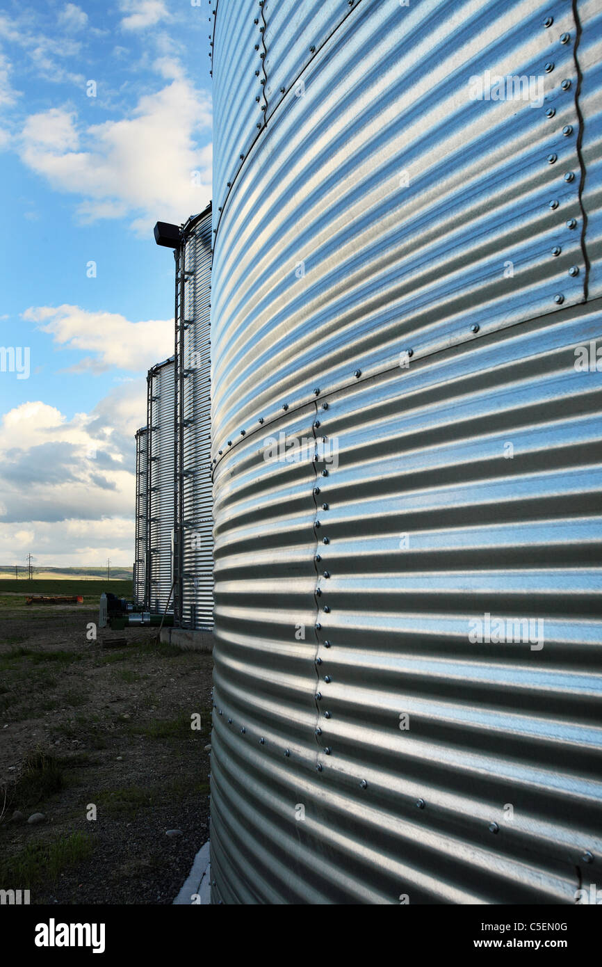 Blue sky reflected in shiny new grain storage silos Stock Photo - Alamy