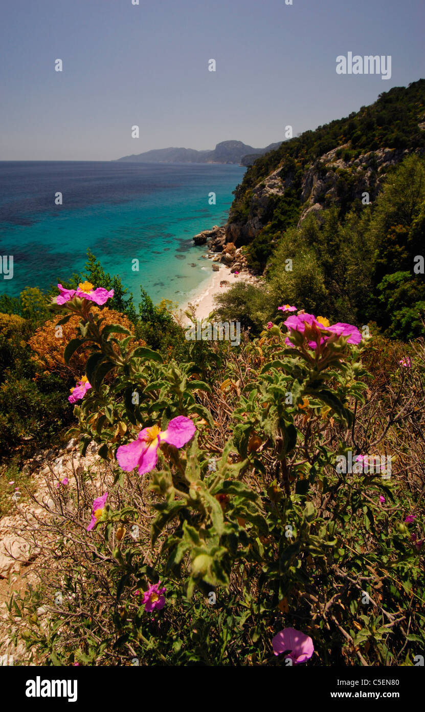 Cala fuili hi-res stock photography and images - Alamy