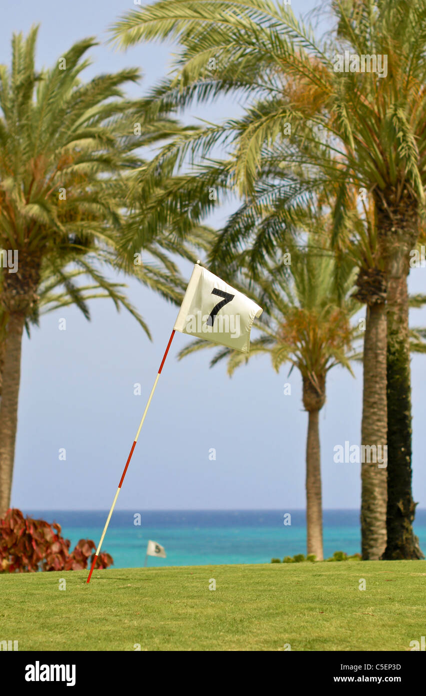Golf course flag on the background of palms and sea Stock Photo - Alamy