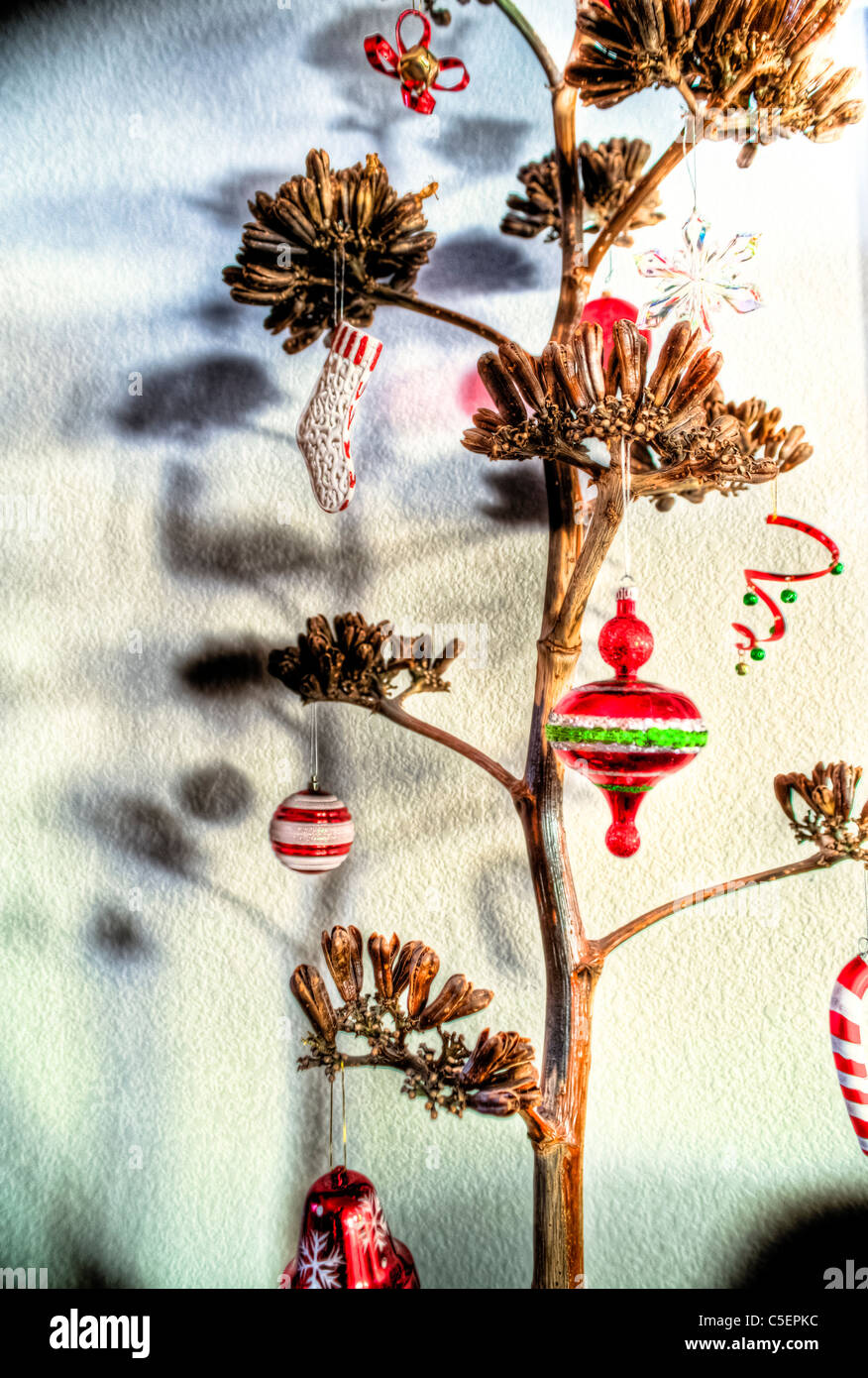 A dried Agave (century plant) with Christmas ornaments Stock Photo - Alamy