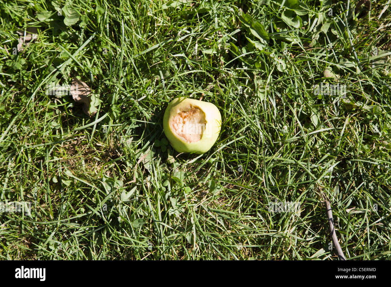 One rotten apple hi-res stock photography and images - Alamy