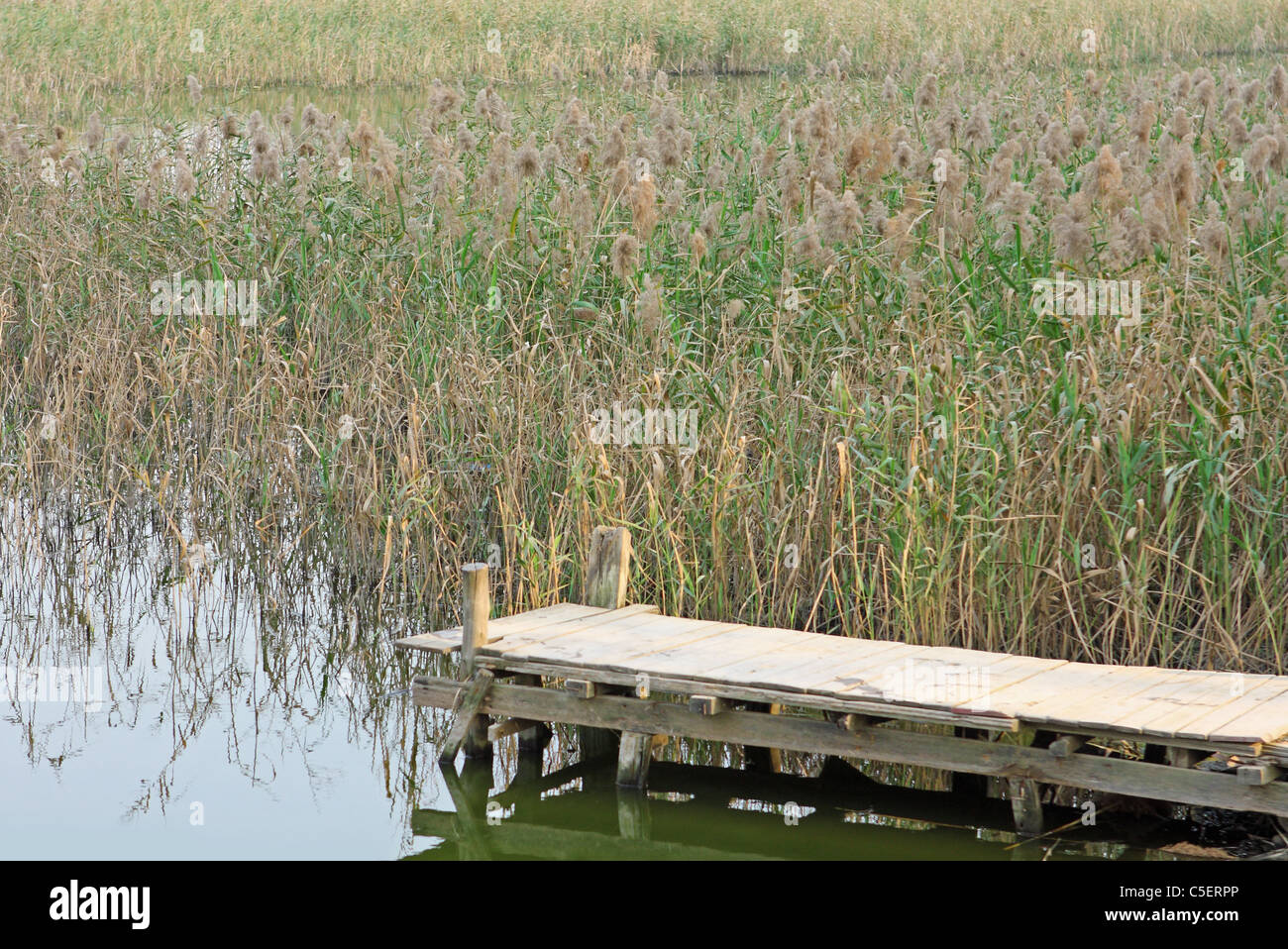 Jetty on lake at day Stock Photo - Alamy